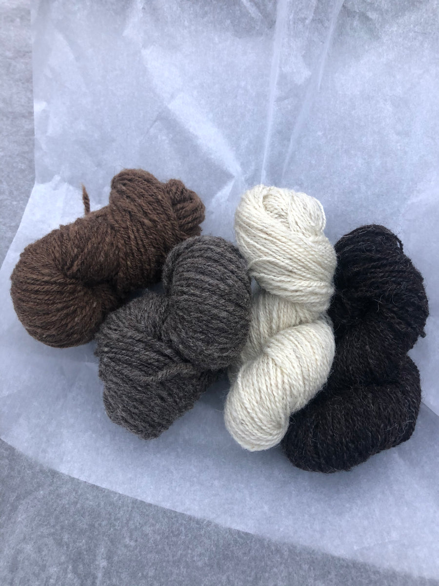 Charlie Button Yarns - British Breeds Box - DK & 4Ply – Yarn N Yarns