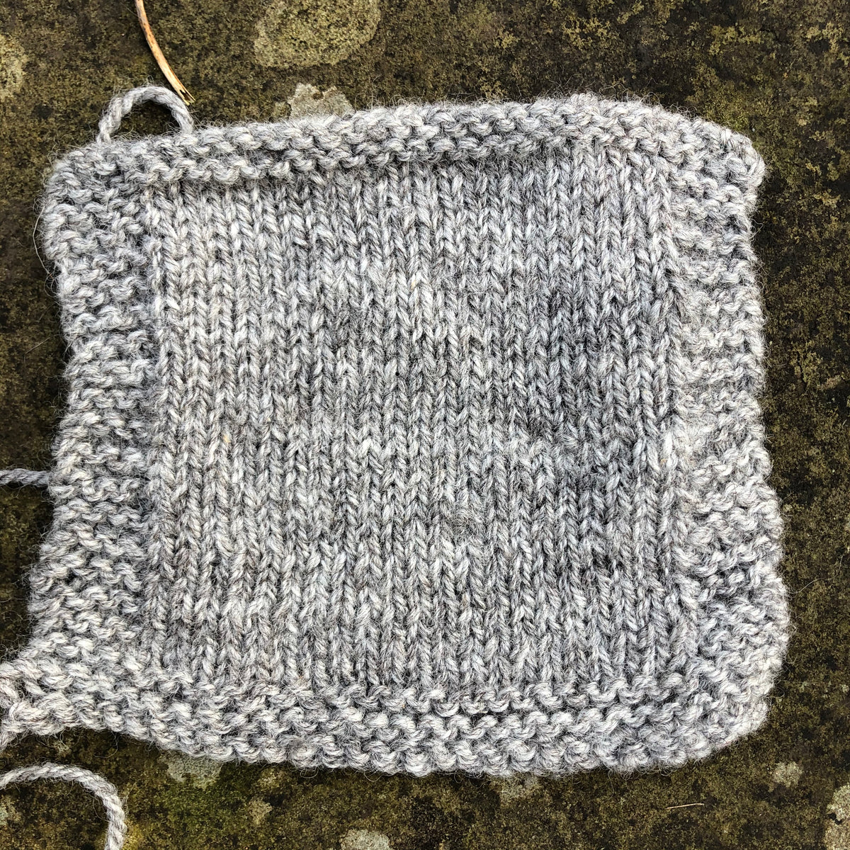 Charlie Button Yarns - Texel Blend - DK/Worsted – Yarn N Yarns